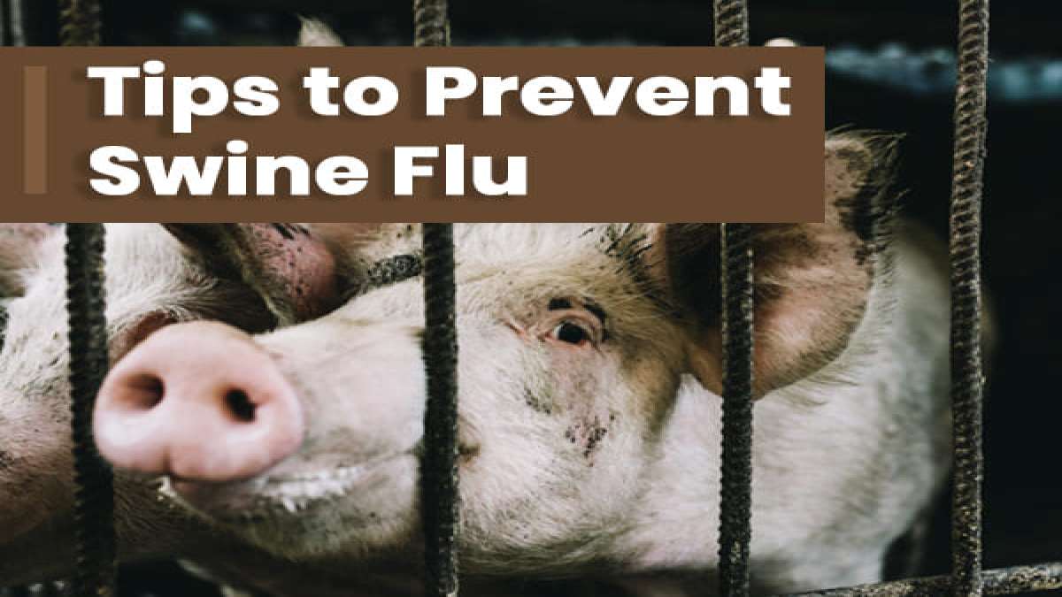 11 Healthy Tips On How To Prevent Swine Flu - Boldsky.com
