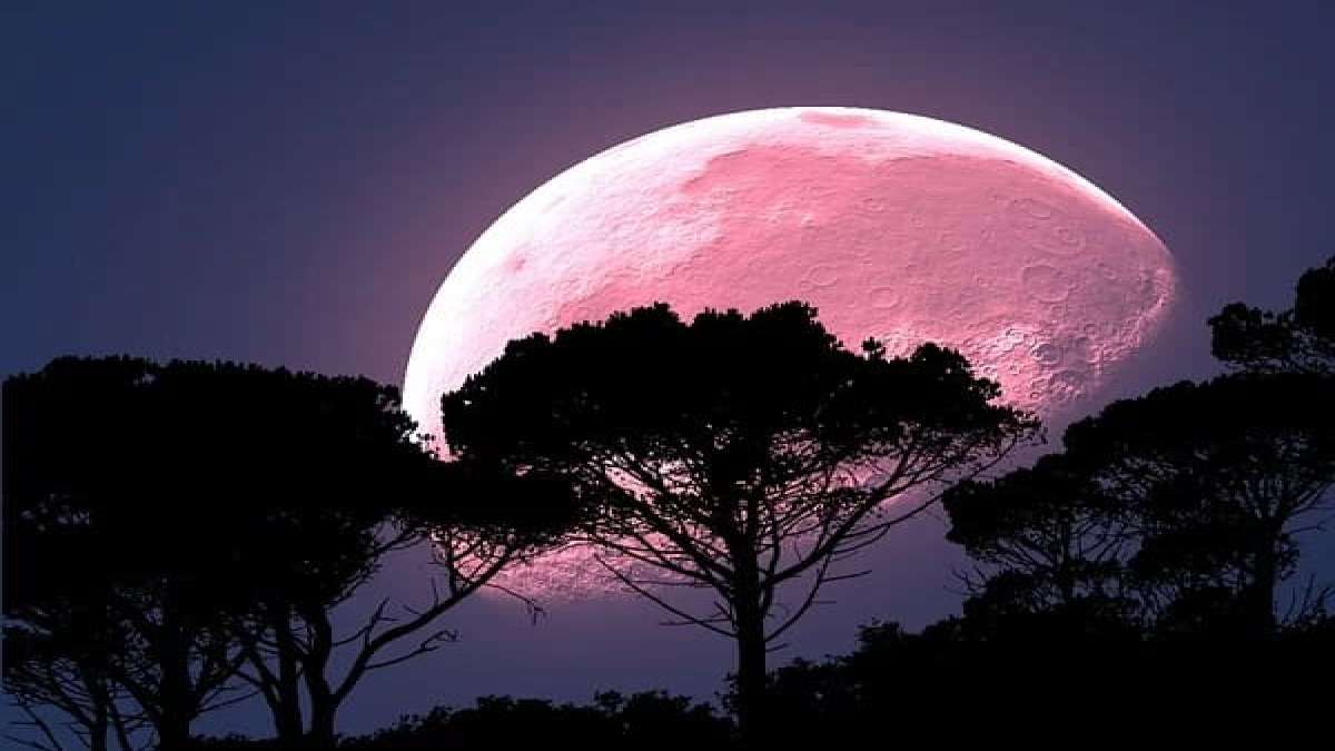 Pink Moon 2020: Know What It Is And When To Watch It In India - Boldsky.com