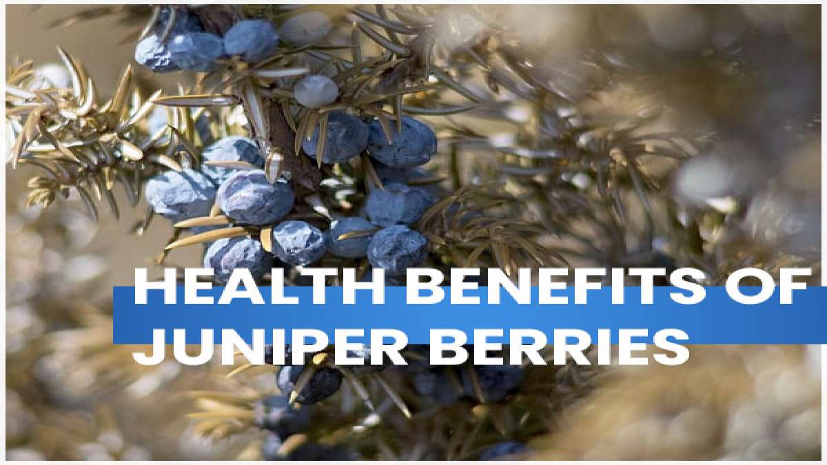 6 Lesser-Known Health Benefits Of Juniper Berries - Boldsky.com