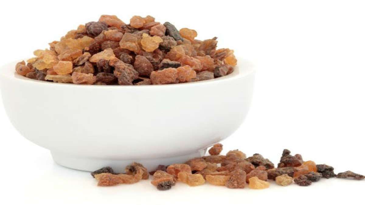 10 Amazing Health Benefits Of Guggul - Boldsky.com