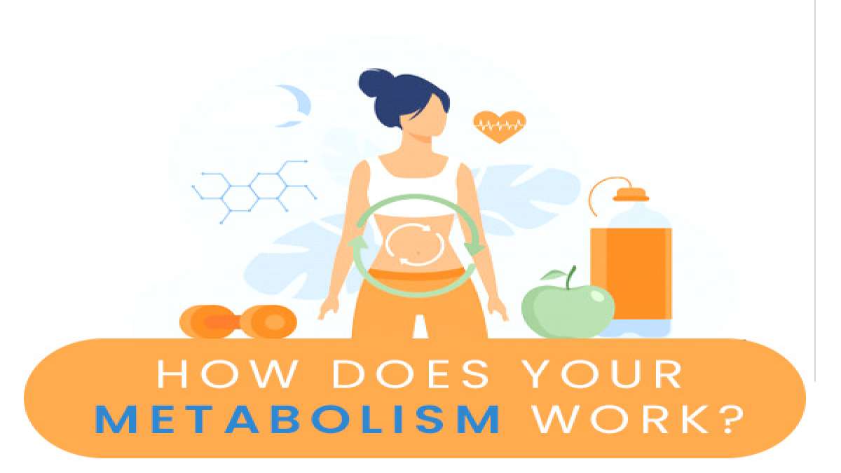 Nutritionist Speaks On What Is Metabolism And How Does It Work ...