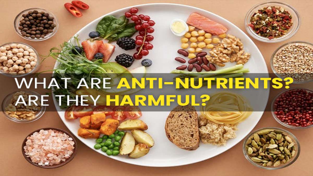 What Are Anti-Nutrients? Are They Harmful? - Boldsky.com