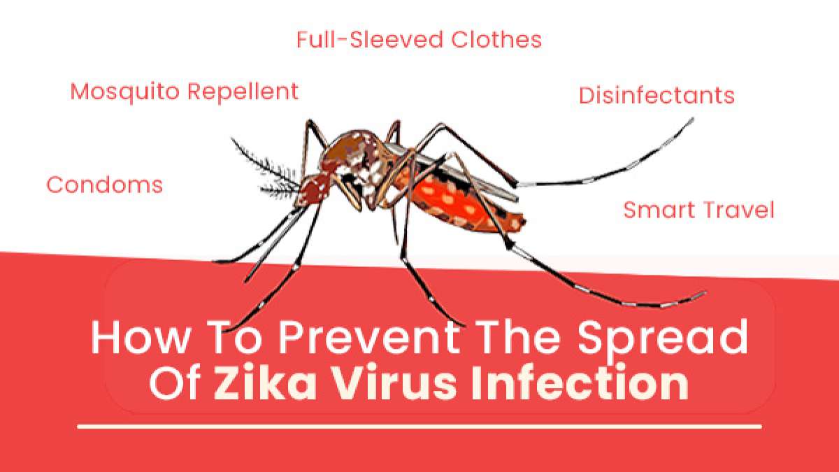 How To Prevent The Spread Of Zika Virus Infection - Boldsky.com