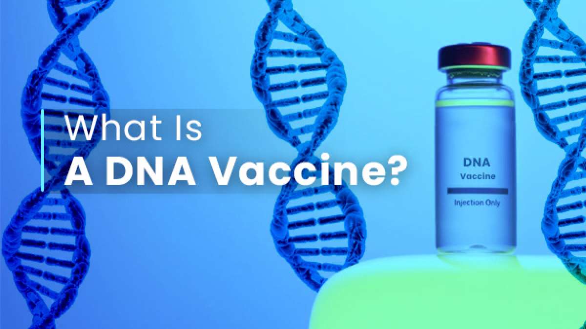 What Is A DNA Vaccine? How Is It Different From Other Vaccine Types ...