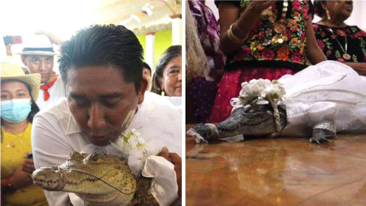 Sealed With A Kiss: Mexican Mayor Marries Alligator Bride To Bring ...