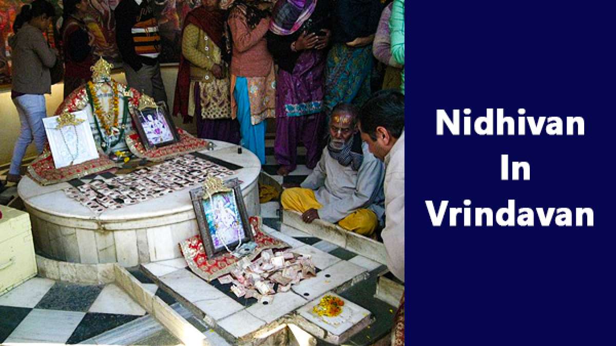 Nidhivan In Vrindavan: What You Need To Know About This Mysterious And ...