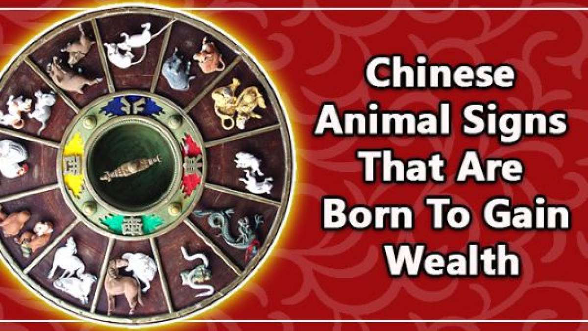 Three Chinese Zodiac Animal Signs That Are Born To Gain Wealth: Are You ...