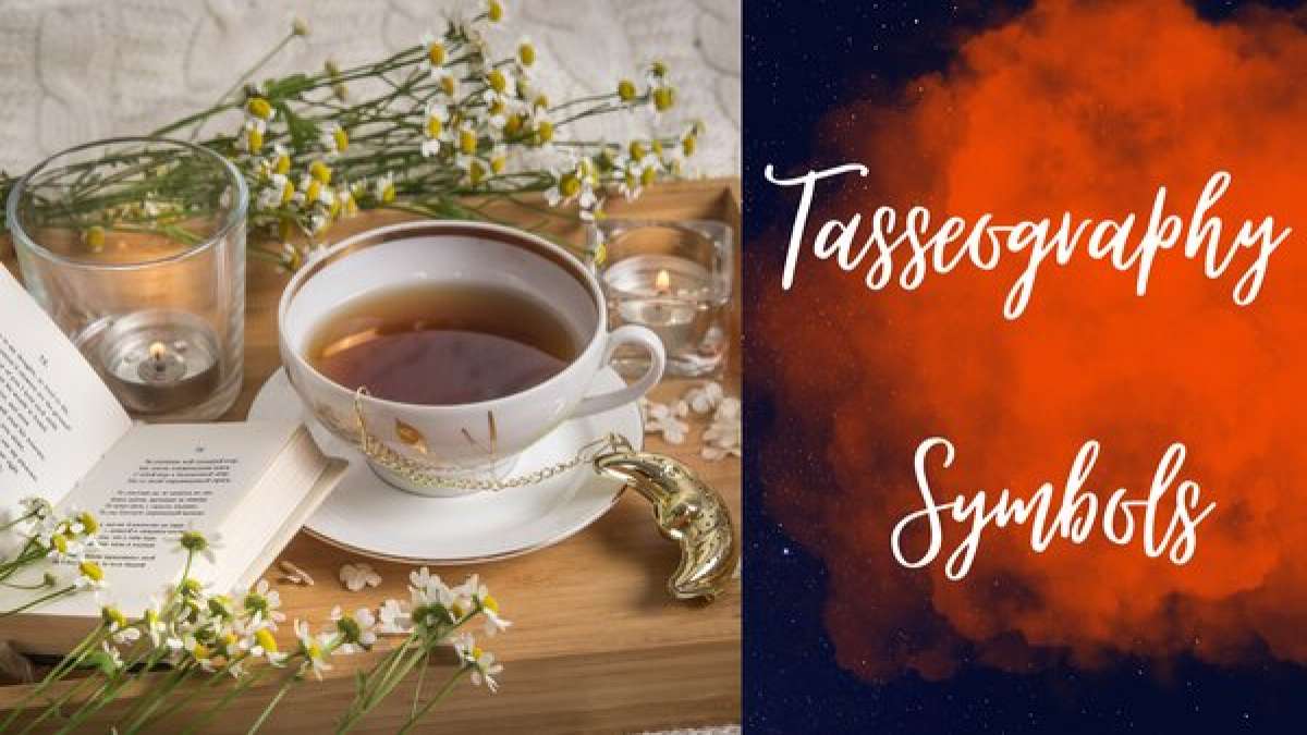 Tasseography Symbols: How To Read Your Future Through Tea Leaves ...