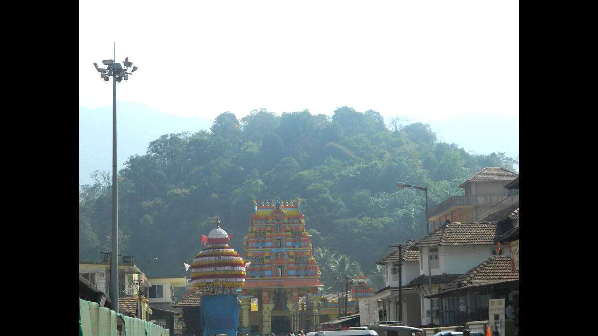 How To Get Sarpa Samskara Puja And Ashlesha Bali Puja Done For Sarpa ...