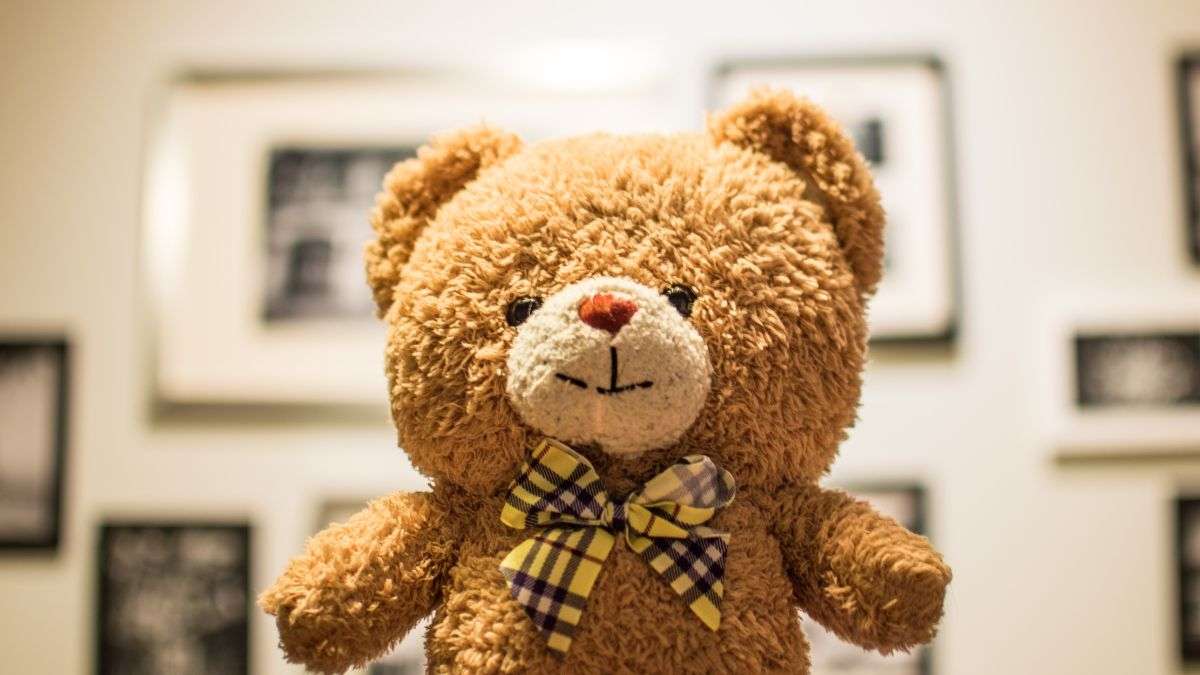 Teddy Day 2023: The Origin Story Of The Beloved Teddy Bear - Boldsky.com