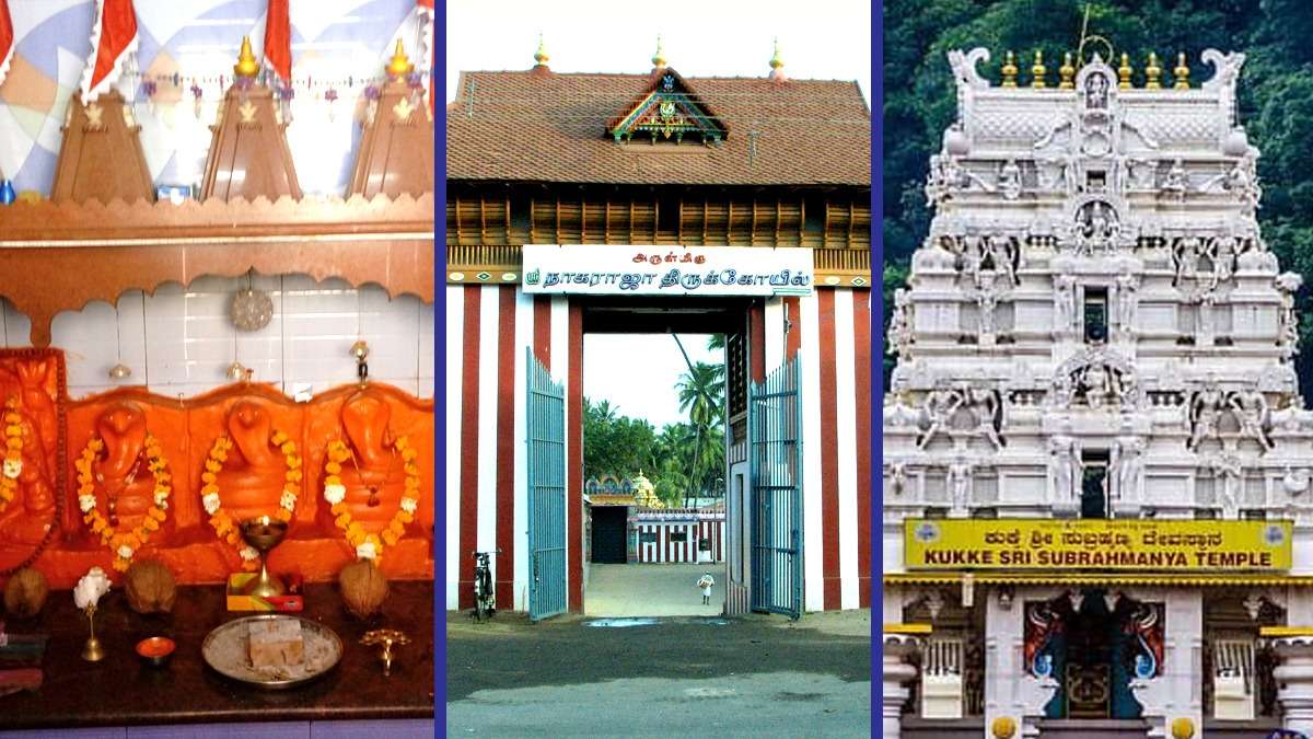 6 Mysterious Temples Of Nag devatas In India - Boldsky.com