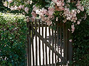 English Country Style Gates
