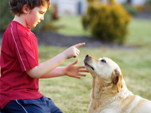 How To Get Your Labradors Exercise Regularly? - Boldsky.com