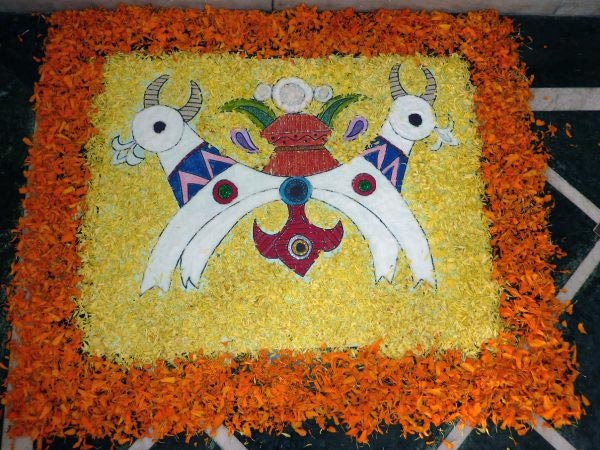 5 Festivals Of The Holy Cow - Boldsky.com