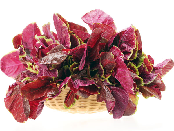 20 Healthy Leaves To Eat - Boldsky.com