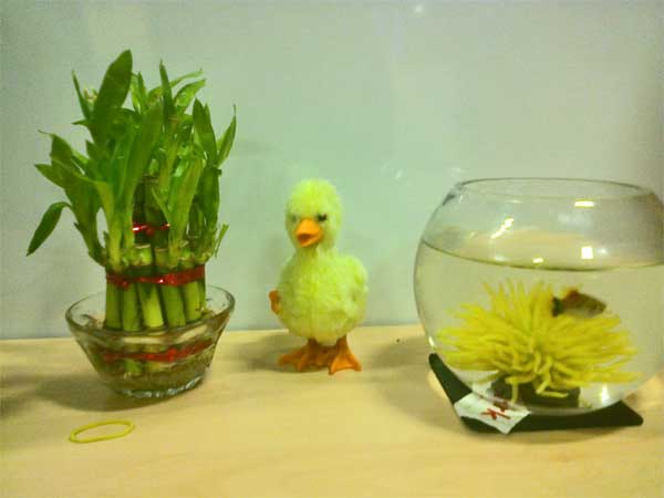 Chinese Home Decorations For Good Luck - Boldsky.com