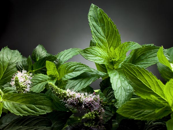 30 Healthy Foods To Boost Brain Power - Boldsky.com