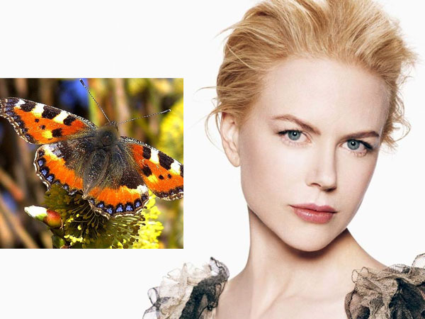 Celebrities With Weird Phobias - Boldsky.com