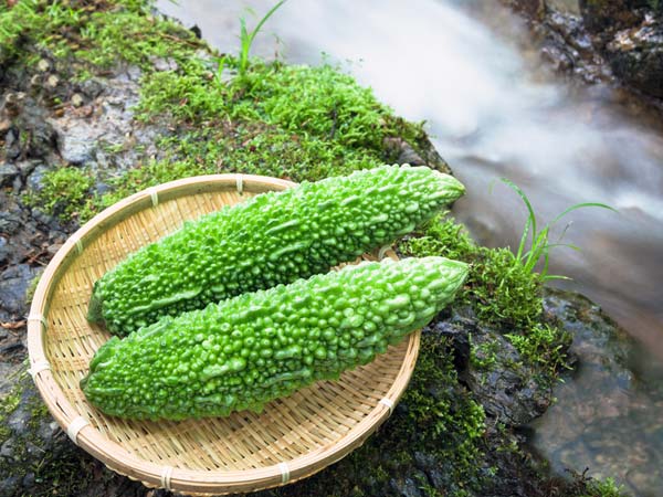 Bitter Foods Which Are Good For Health - Boldsky.com