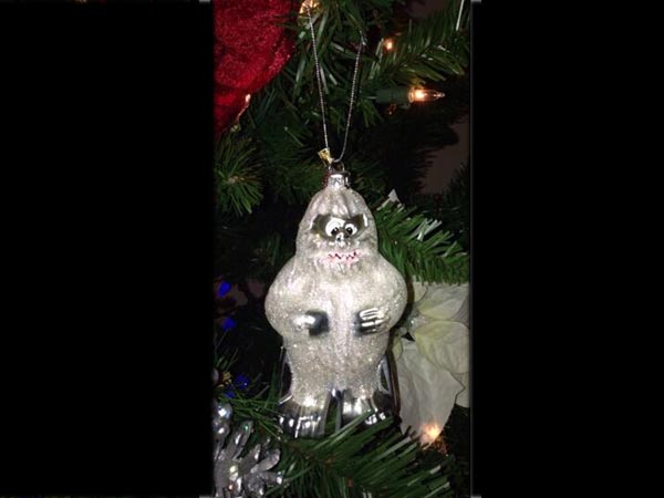 Weird Christmas Tree Ornaments - Boldsky.com
