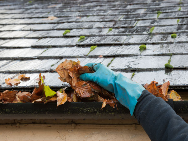 Ways To Clean Your Roof - Boldsky.com