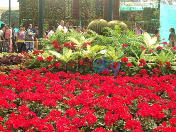 Lalbagh Flower Show 2014: Pics - Boldsky.com