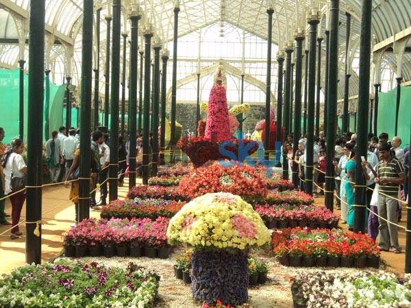 Lalbagh Flower Show 2014: Pics - Boldsky.com