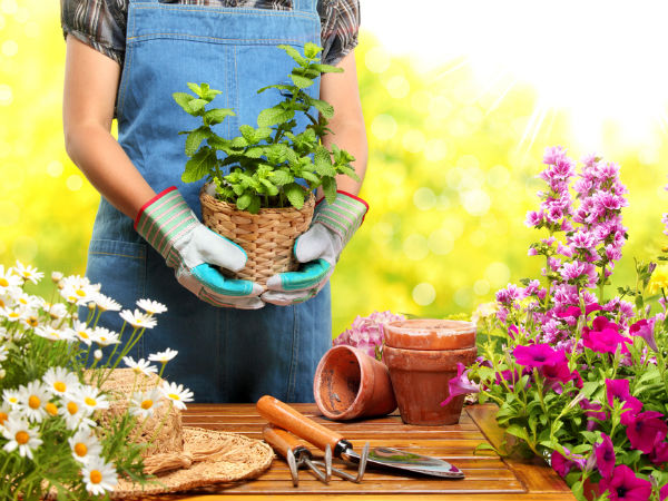 Gardening Tips For Spring Season - Boldsky.com