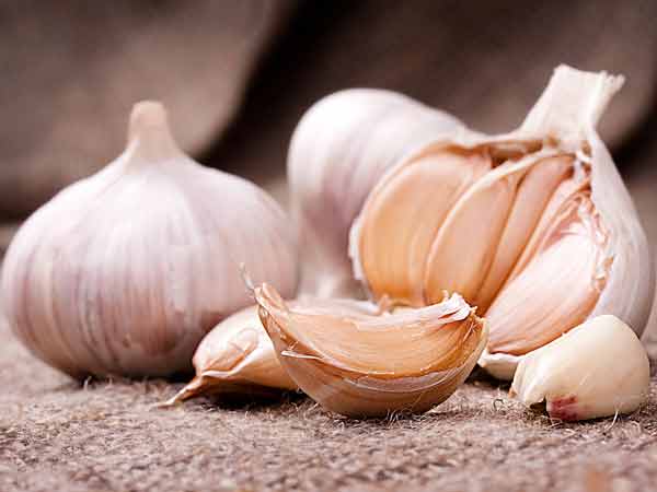 12 Natural Antibiotic Foods To Treat Infections - Boldsky.com