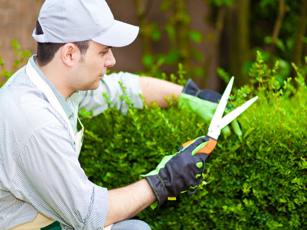 Tips To Trim Your Garden - Boldsky.com