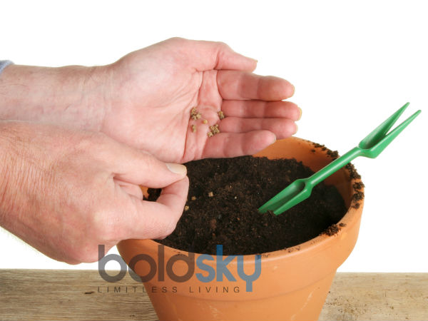 5 Best Gardening Tips For Planting Seeds - Boldsky.com