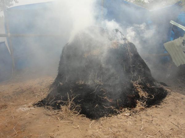 Significance Of Vibhuti: The Holy Ash - Boldsky.com