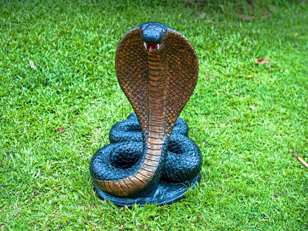 Significance Of Nag Panchami - Boldsky.com