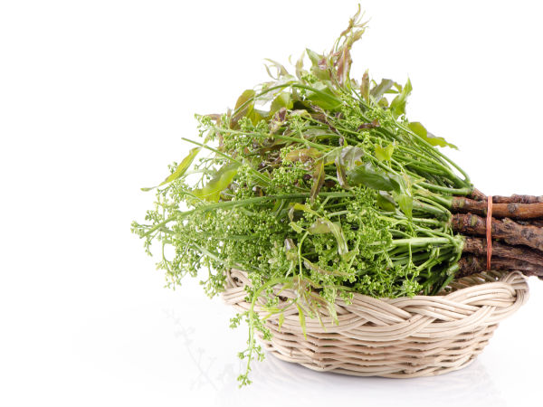 8 Awesome Benefits Of Neem Water - Boldsky.com