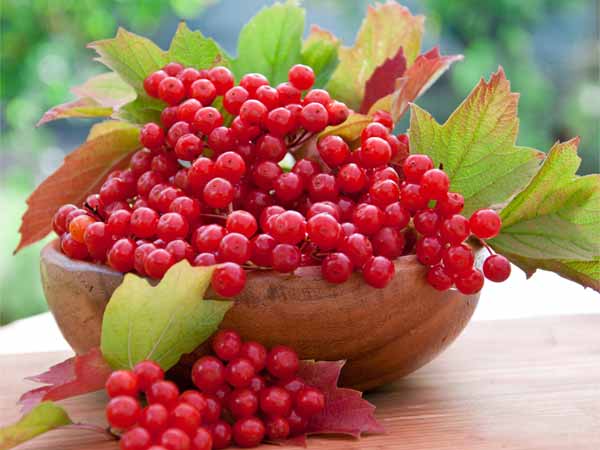 12 Fruits That Help To Prevent Cancer - Boldsky.com