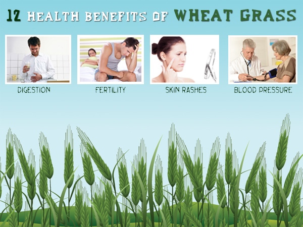 12 Health Benefits Of Wheat Grass - Boldsky.com