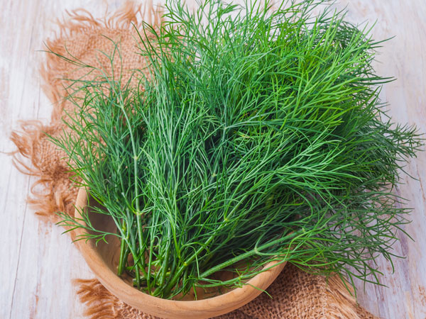 10 Best Healing Herbs You Can Eat Everyday - Boldsky.com