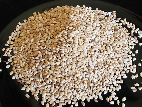 7 Healthy Indian Seeds And Their Health Benefits - Boldsky.com