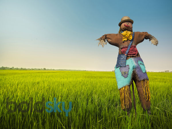 Bizarre Weapons People Used For Murder - Boldsky.com