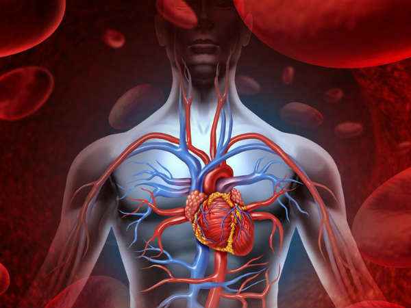 Yes, Some Organs Repair Themselves! - Boldsky.com