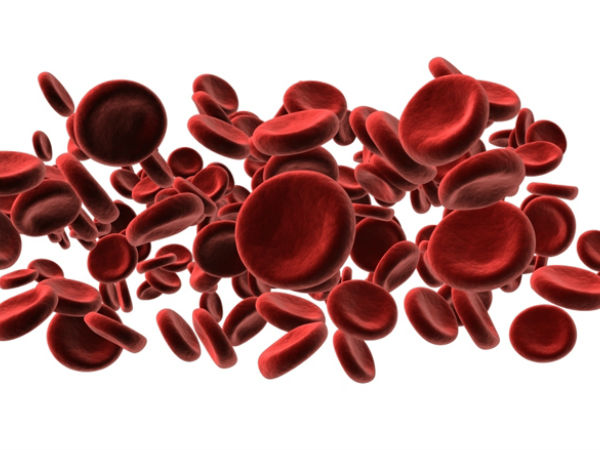 Why Is Blood Circulation Important? - Boldsky.com
