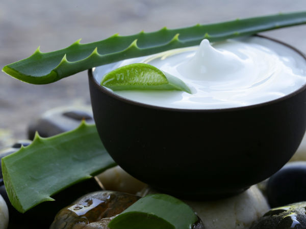 Aloe Vera : The Magic Potion For Your Body - Boldsky.com