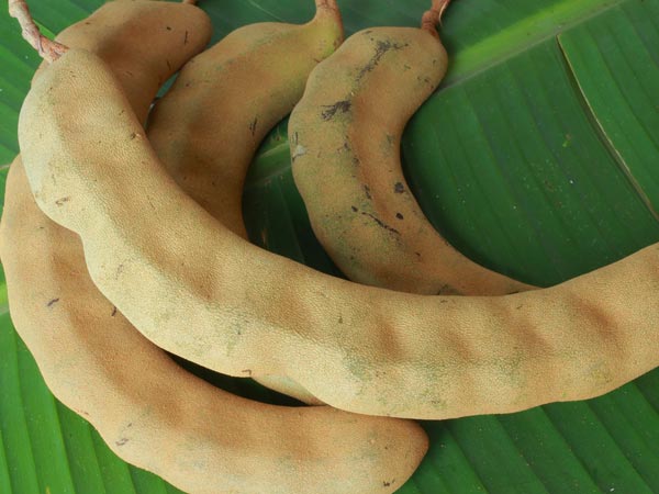 How To Use Tamarind For Skin Care - Boldsky.com