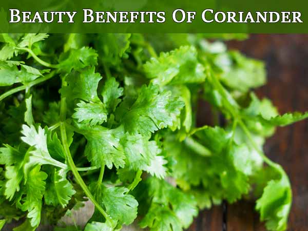 Beauty Benefits Of Coriander - Boldsky.com