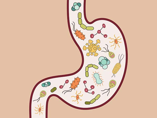 How To Know Parasites Are Inside The Body - Boldsky.com