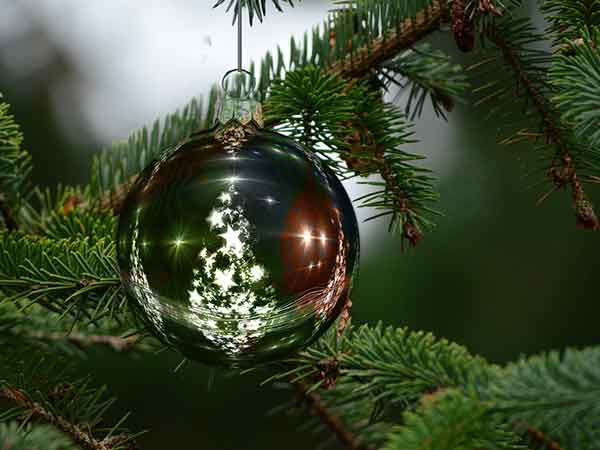 Significant Colours Of Christmas 2015 - Boldsky.com