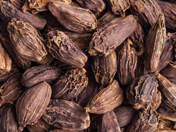 Health Benefits Of Brown Cardamom - Boldsky.com
