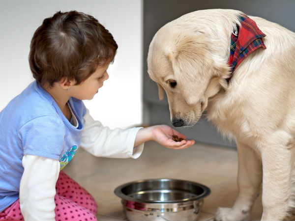 Are Your Children Scared Of Pets? - Boldsky.com
