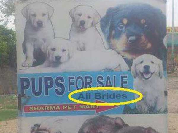 20 Funny Sign Boards - ONLY IN INDIA - Boldsky.com