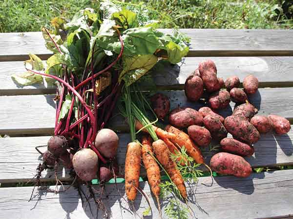 9 Vegetable Peels That Treat Your Skin Well In Summer - Boldsky.com